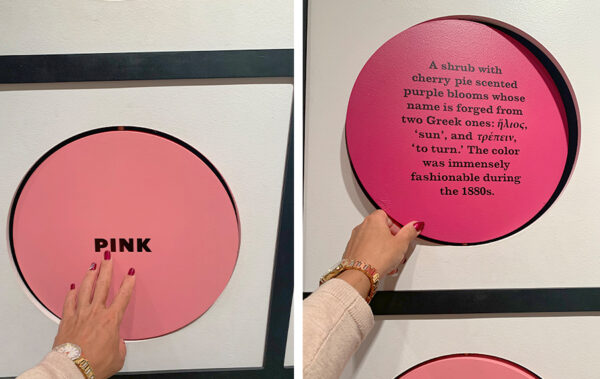 Celebrate life in the Color Factory museum in New York.