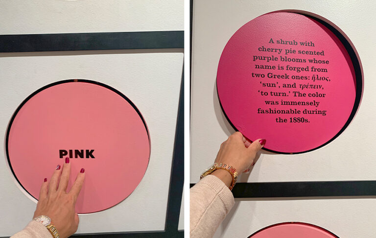 Celebrate life in the Color Factory museum in New York.