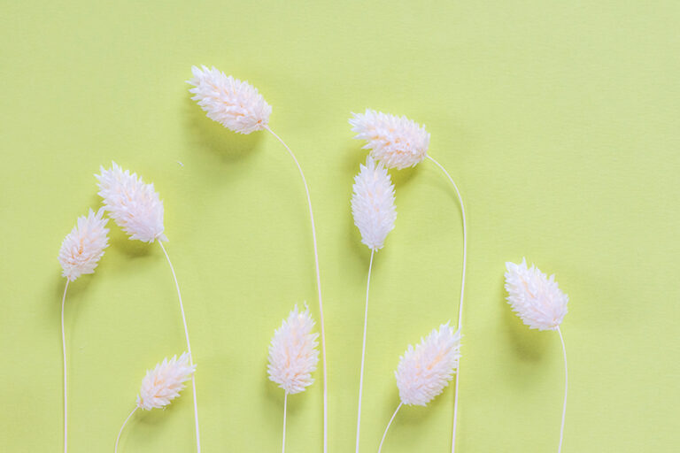 How does creativity contribute to improving daily life experiences?