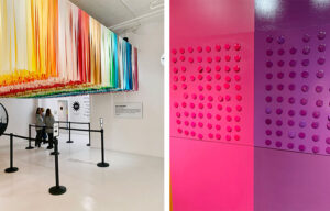 Celebrate life in the Color Factory museum in New York.