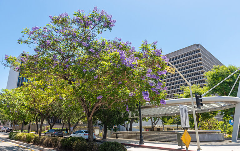 Summer trip to Los Angeles, downtown, places to visit in LA California