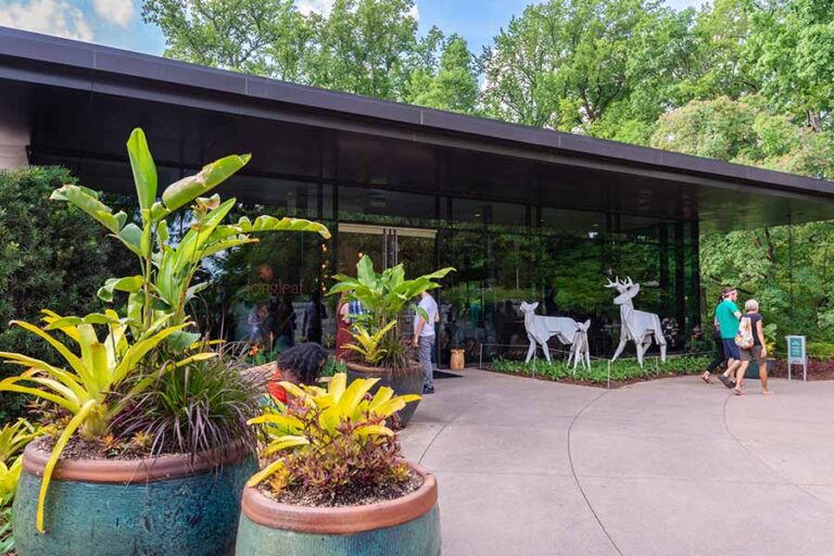 Atlanta Botanical Garden a green escape in the heart of the city.
