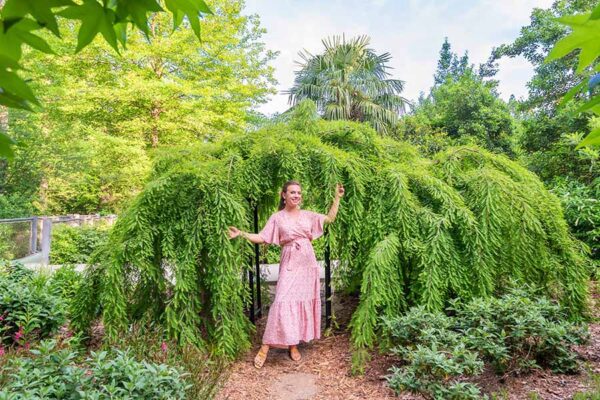 Atlanta Botanical Garden a green escape in the heart of the city.